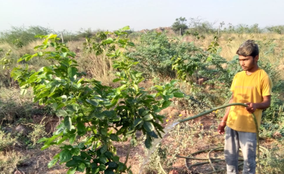 5 NGOS in India working on environmental protection