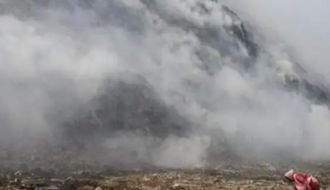 5 NGOS in India working on environmental protection