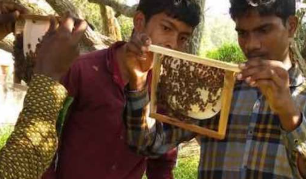 5 NGOS in India working on environmental protection