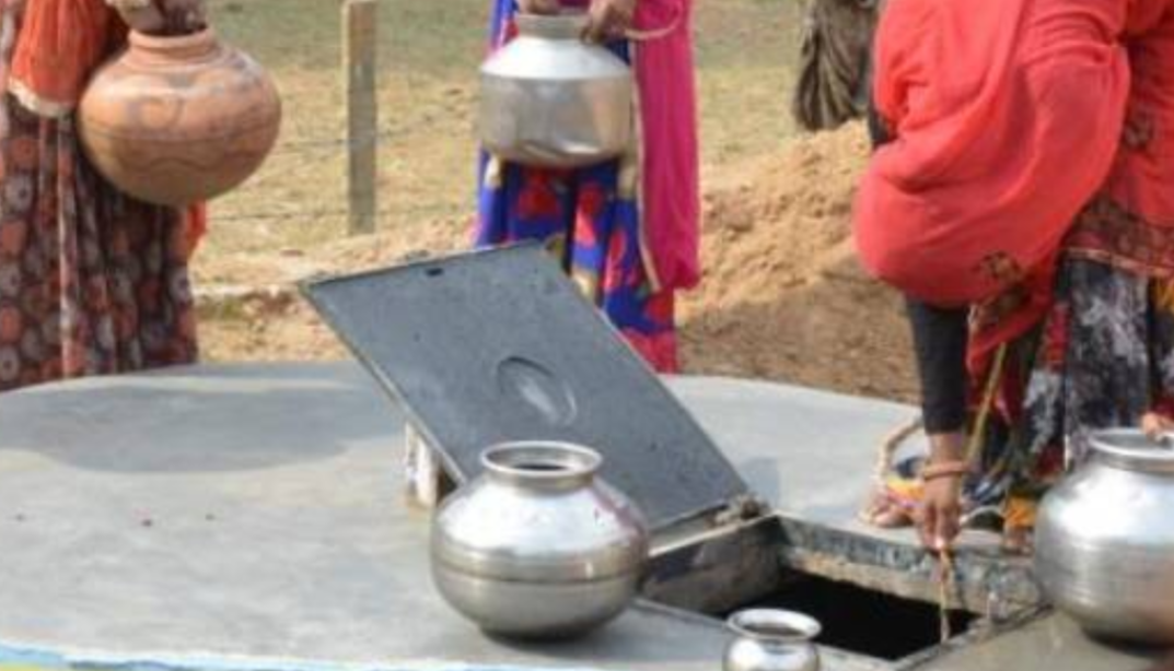 5 NGOS in India working on environmental protection