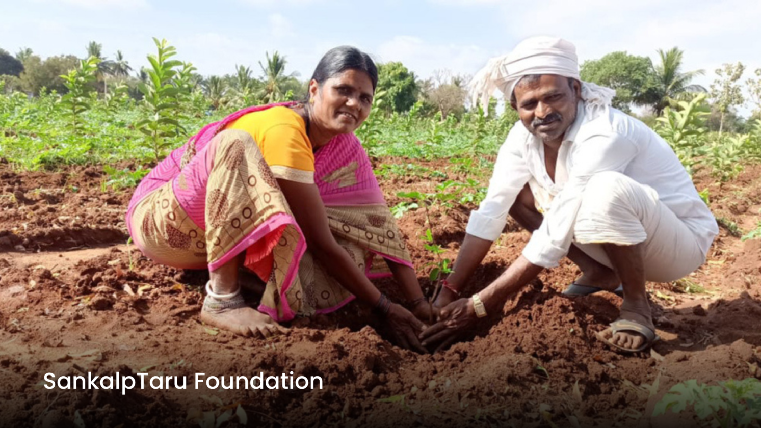 World Soil Day: 5 NGOs combating climate change