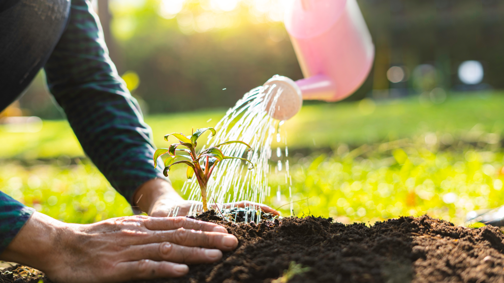 Role of technology in scaling afforestation programmes