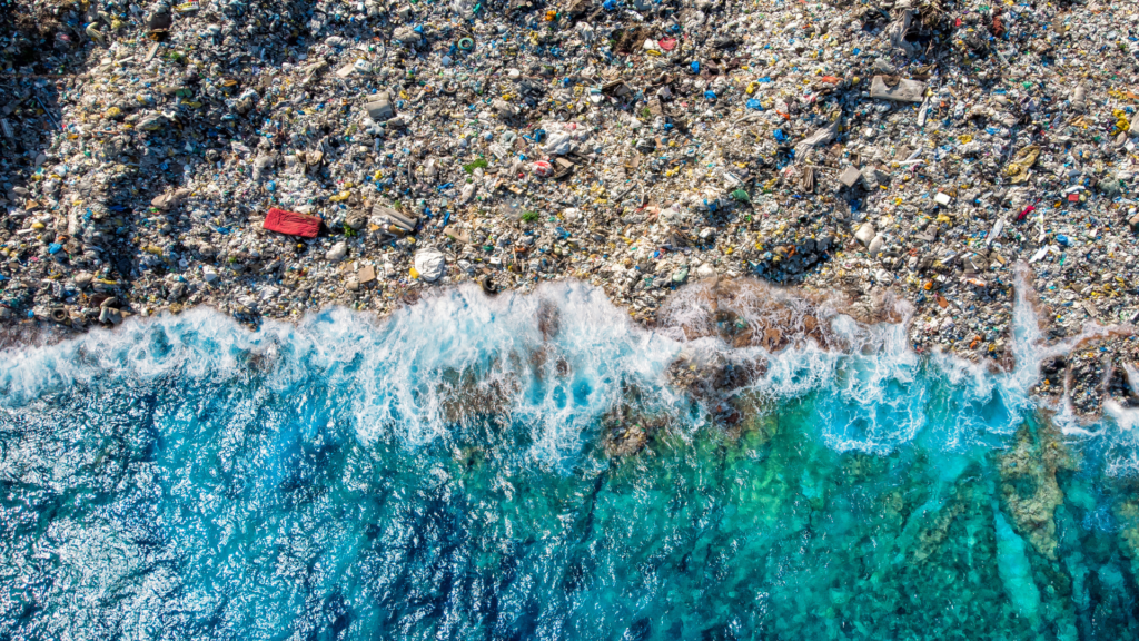 World Oceans Day is the time to think of ways to stop pollution