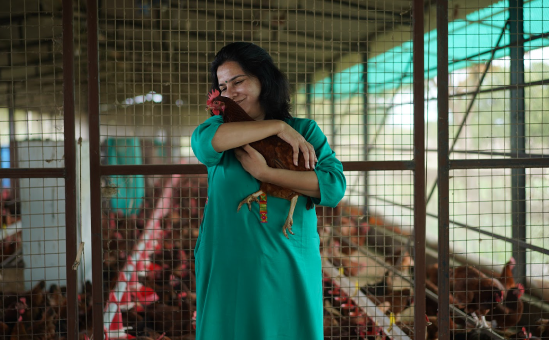 People For Animals Uttarakhand: save tortured and caged hens from miserable conditions - Give.do