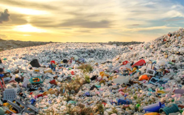 World Environment Day: 3 environmental missions to support