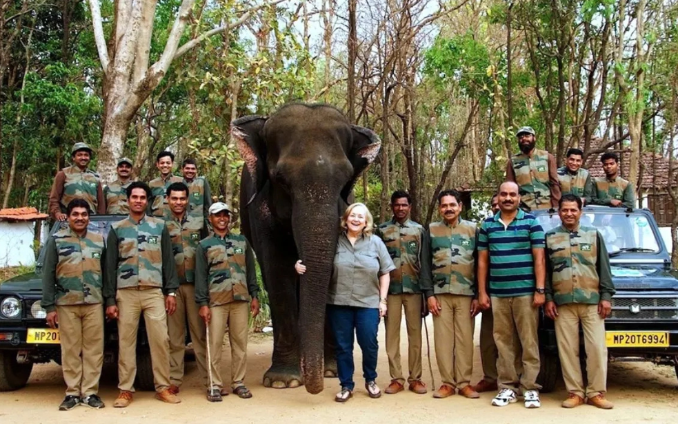 5 elephant NGOs supporting the endangered elephant in India
